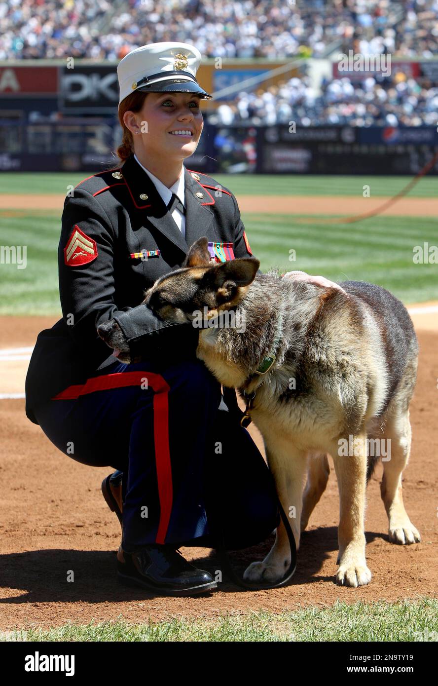 Former Marine Cpl. and Purple Heart recipient Megan Leavey and combat ...