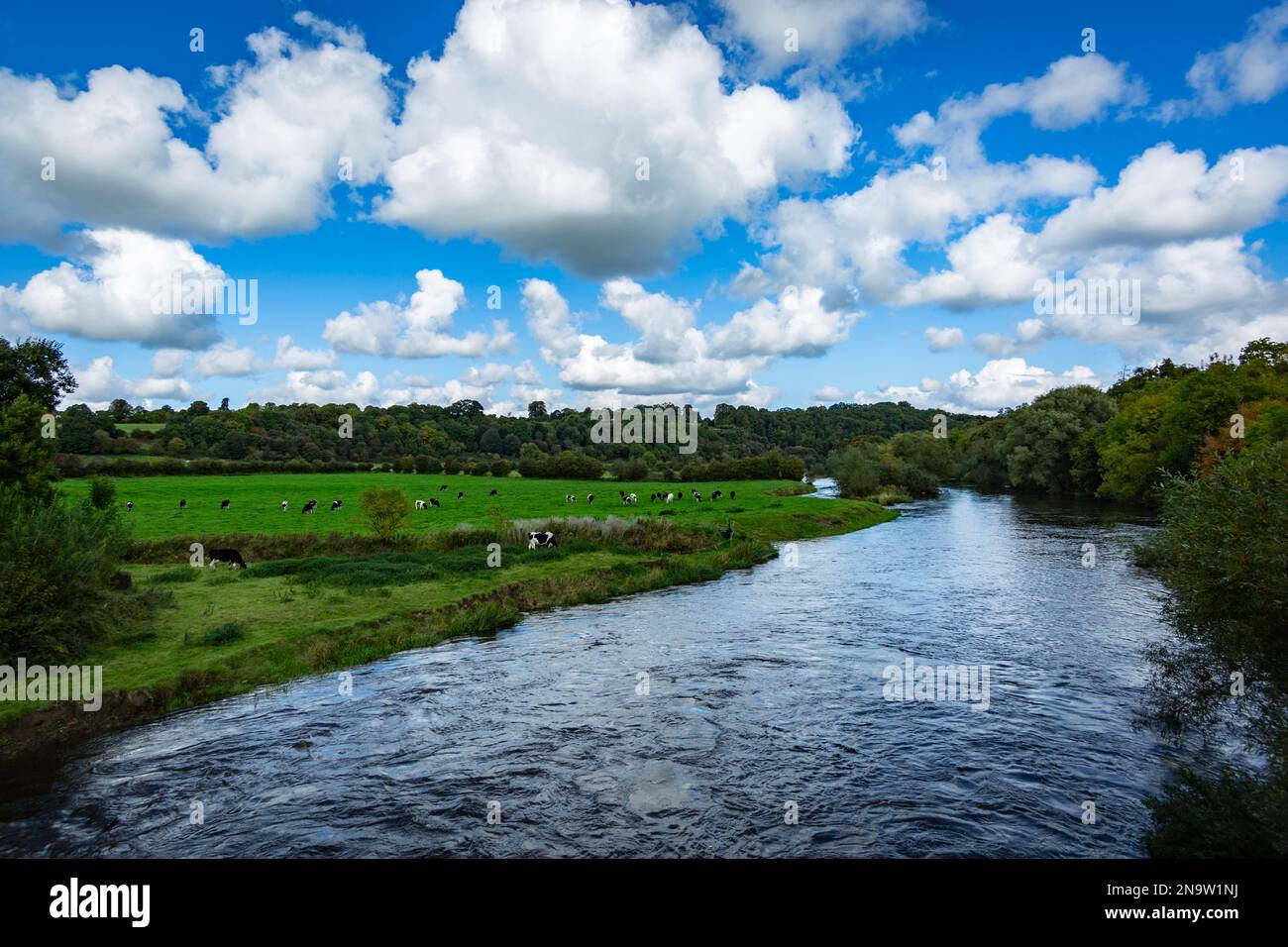 River Boyne, County Meath, Ireland Stock Photo - Alamy