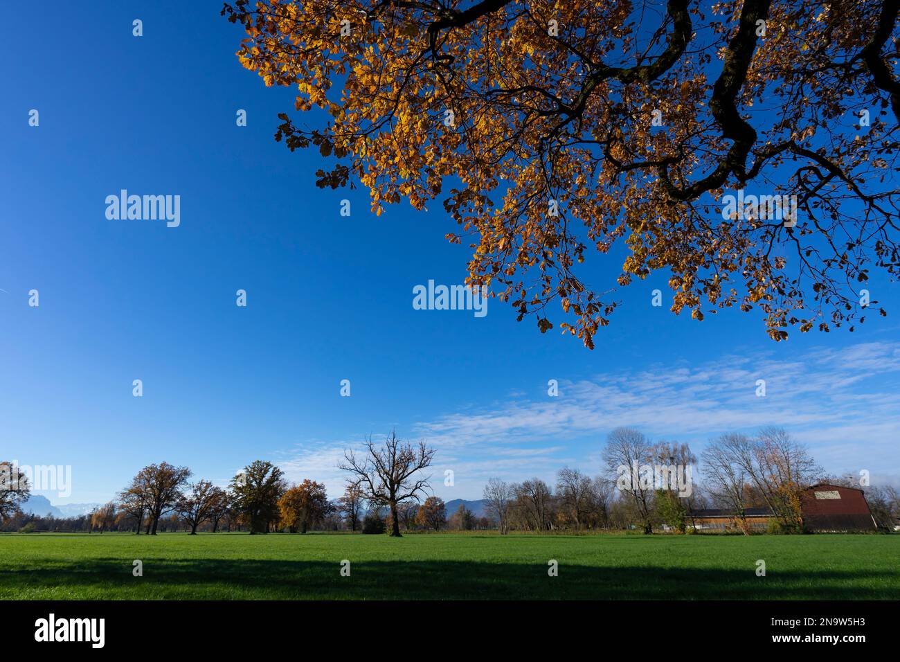 View onto the wide fields of a natural reserve Stock Photo - Alamy