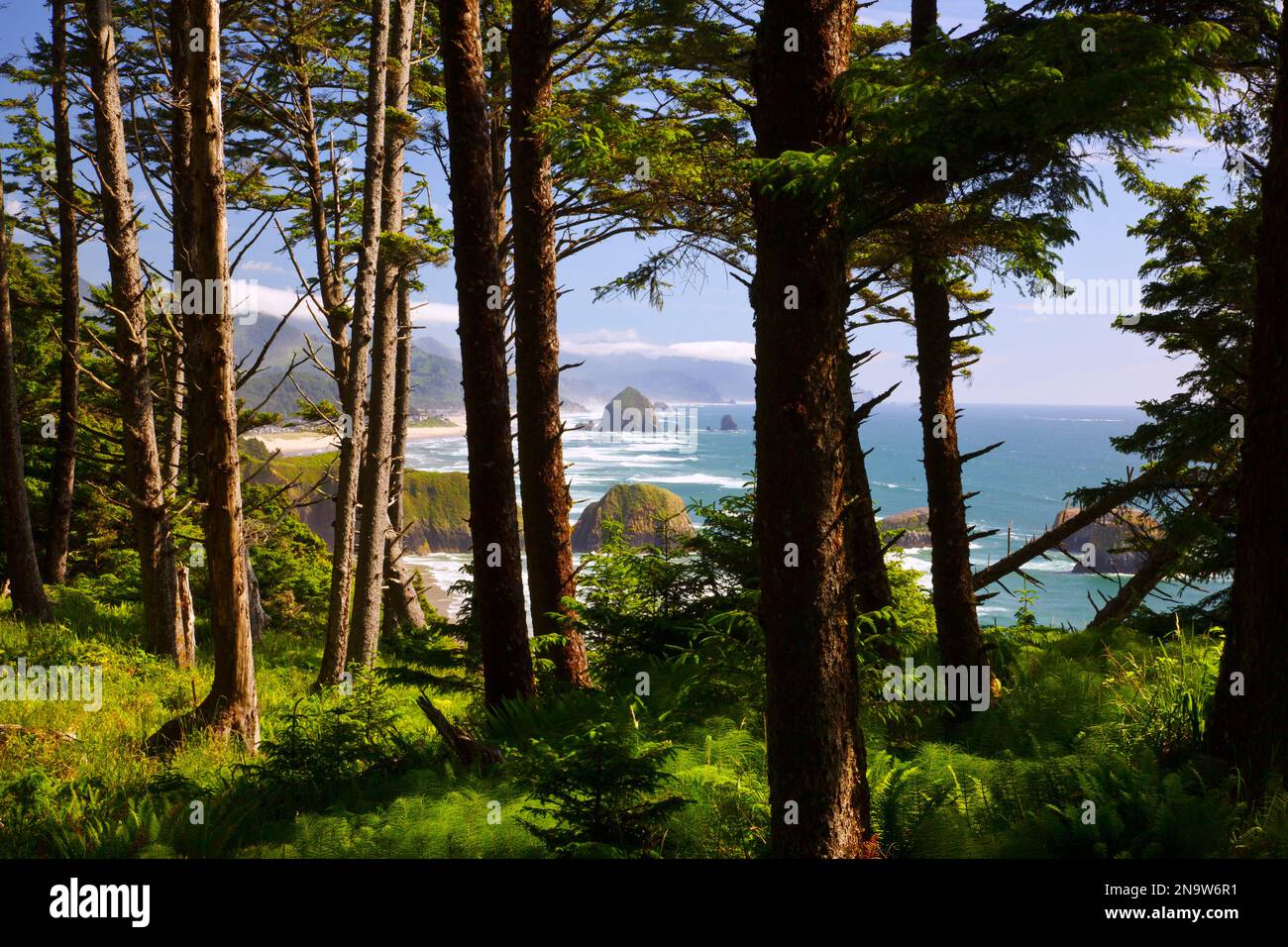 View of Cannon Beach and Haystack Rock along the Oregon coast from ...