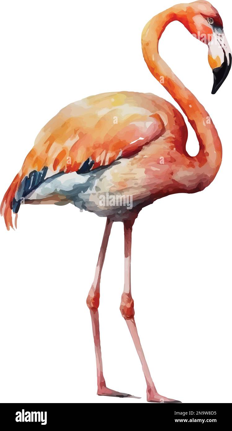 Watercolor Flamingo Vector Stock Vector Image & Art - Alamy