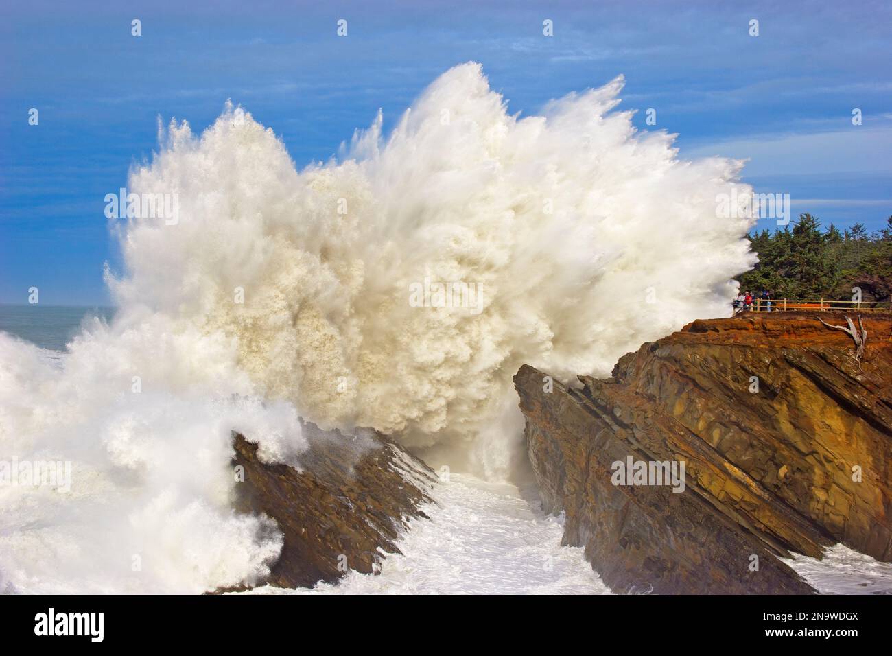 Powerful wave breaking against the rocks at Shore Acres State Park as ...