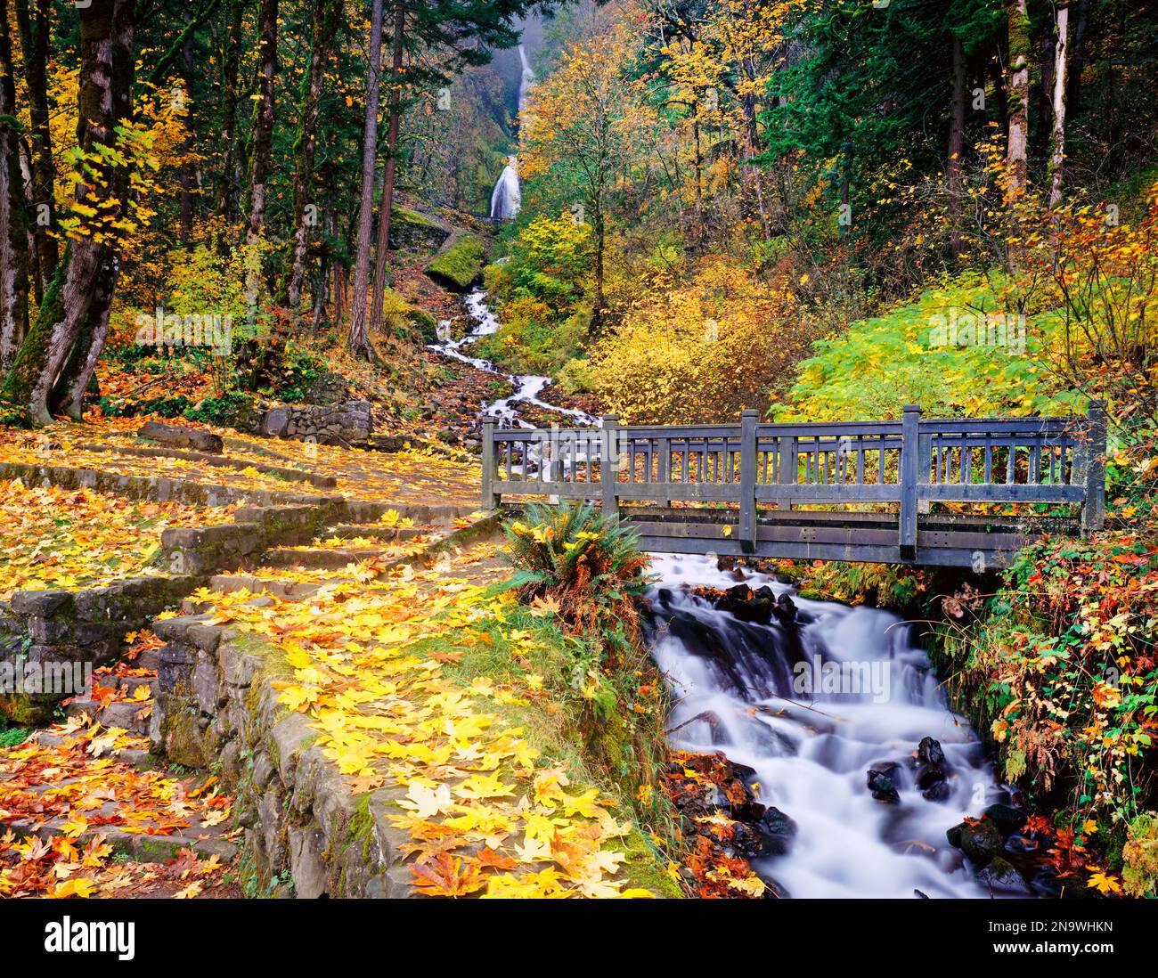Wooden bridge along Wahkeena Falls in autumn in Mount Hood National ...