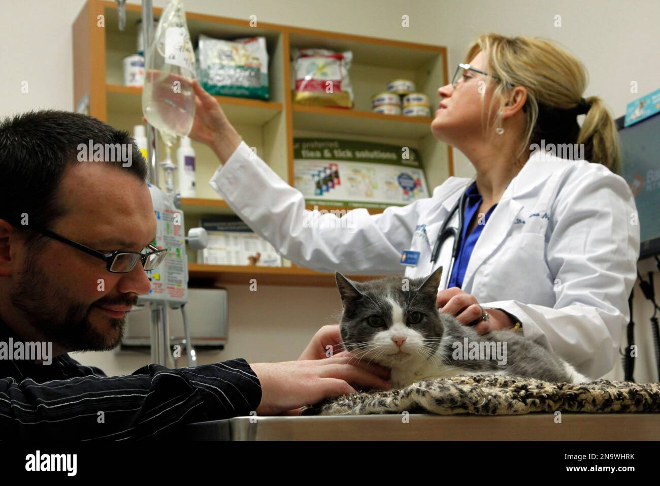 In this Thursday, April 12, 2012 photo, Girly, an 18-year-old cat who ...