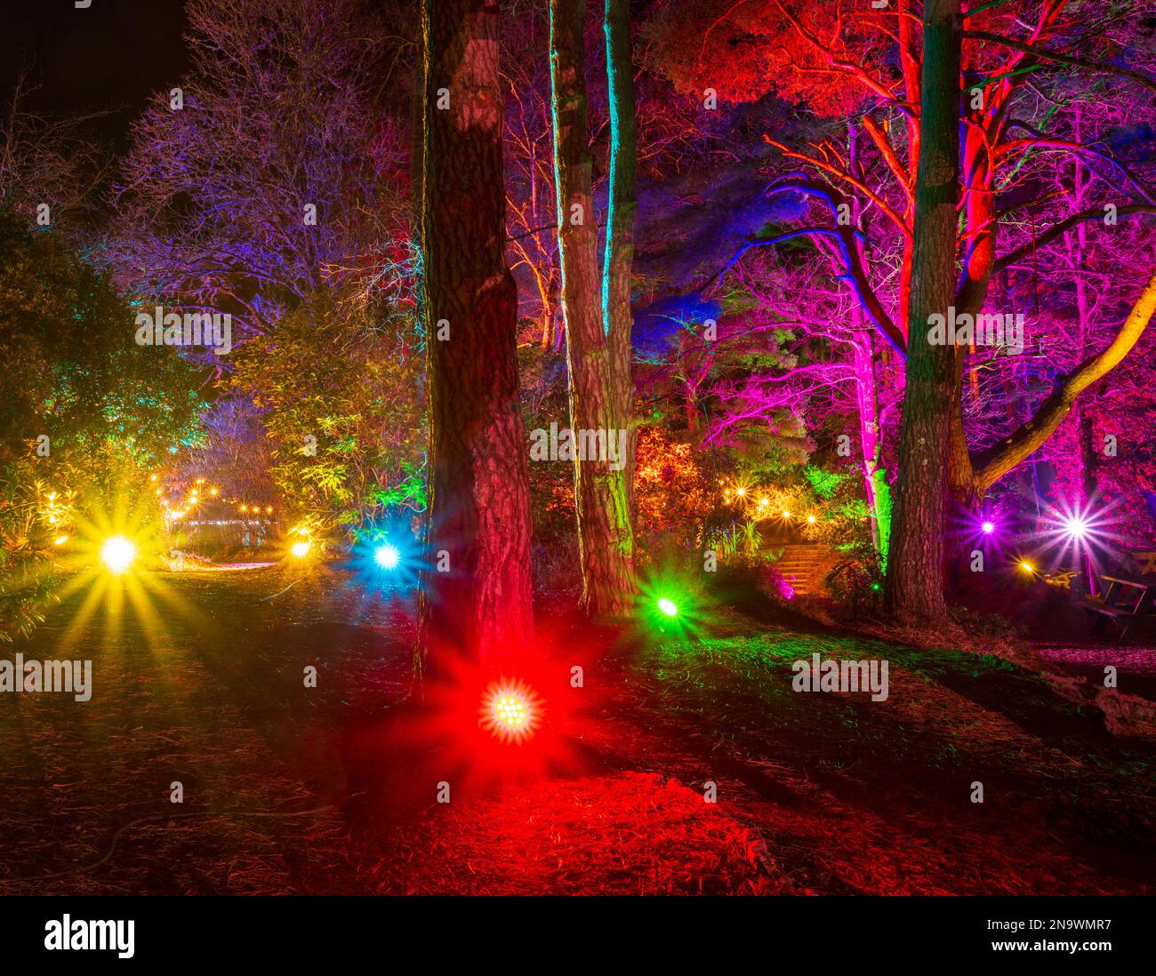 Illuminations around the lake at Blue Pool in Dorset Stock Photo - Alamy