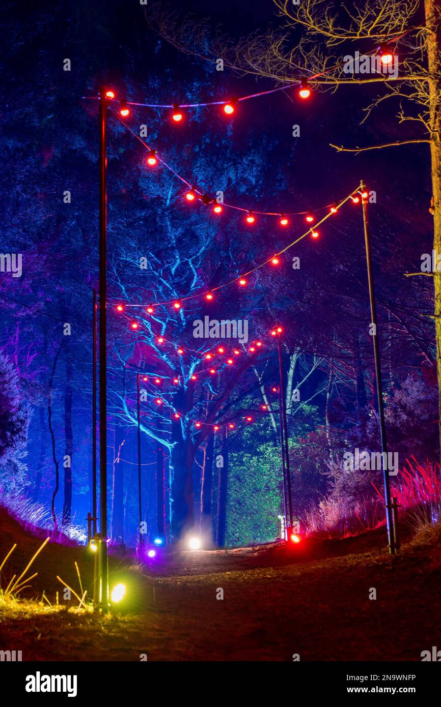 Illuminations around the lake at Blue Pool in Dorset Stock Photo - Alamy