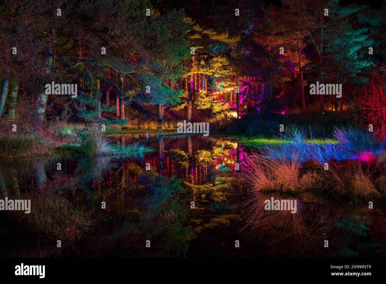 The blue pool wareham hi-res stock photography and images - Alamy