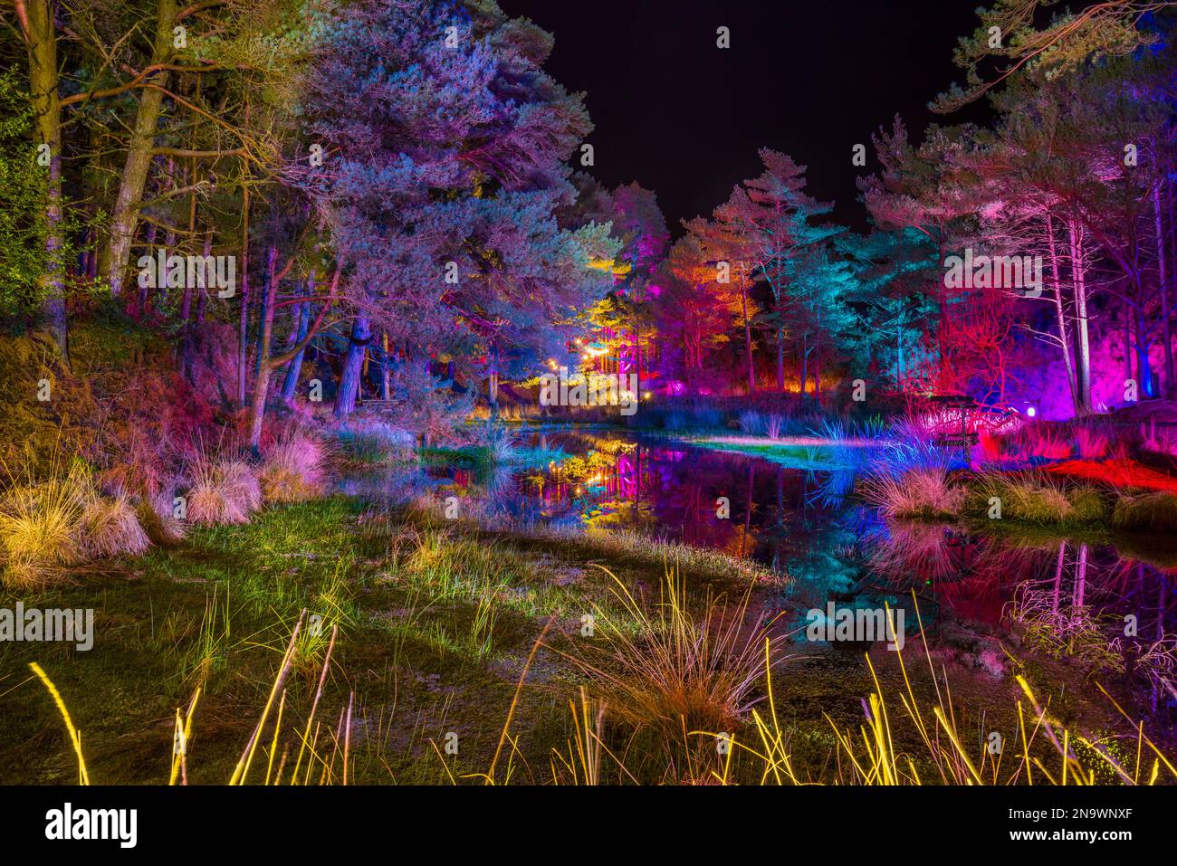 Wood around pool hi-res stock photography and images - Alamy