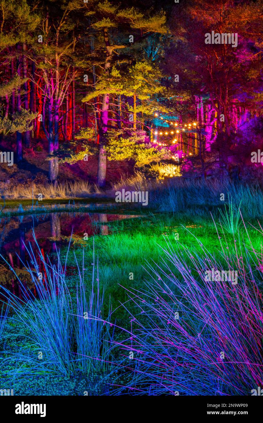 Illuminations around the lake at Blue Pool in Dorset Stock Photo - Alamy