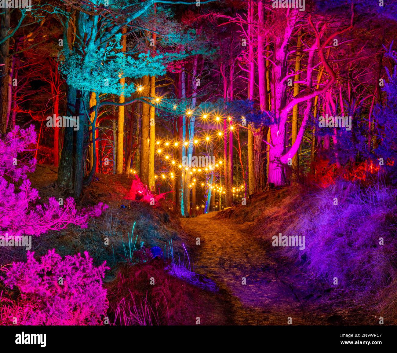 Illuminations around the lake at Blue Pool in Dorset Stock Photo - Alamy