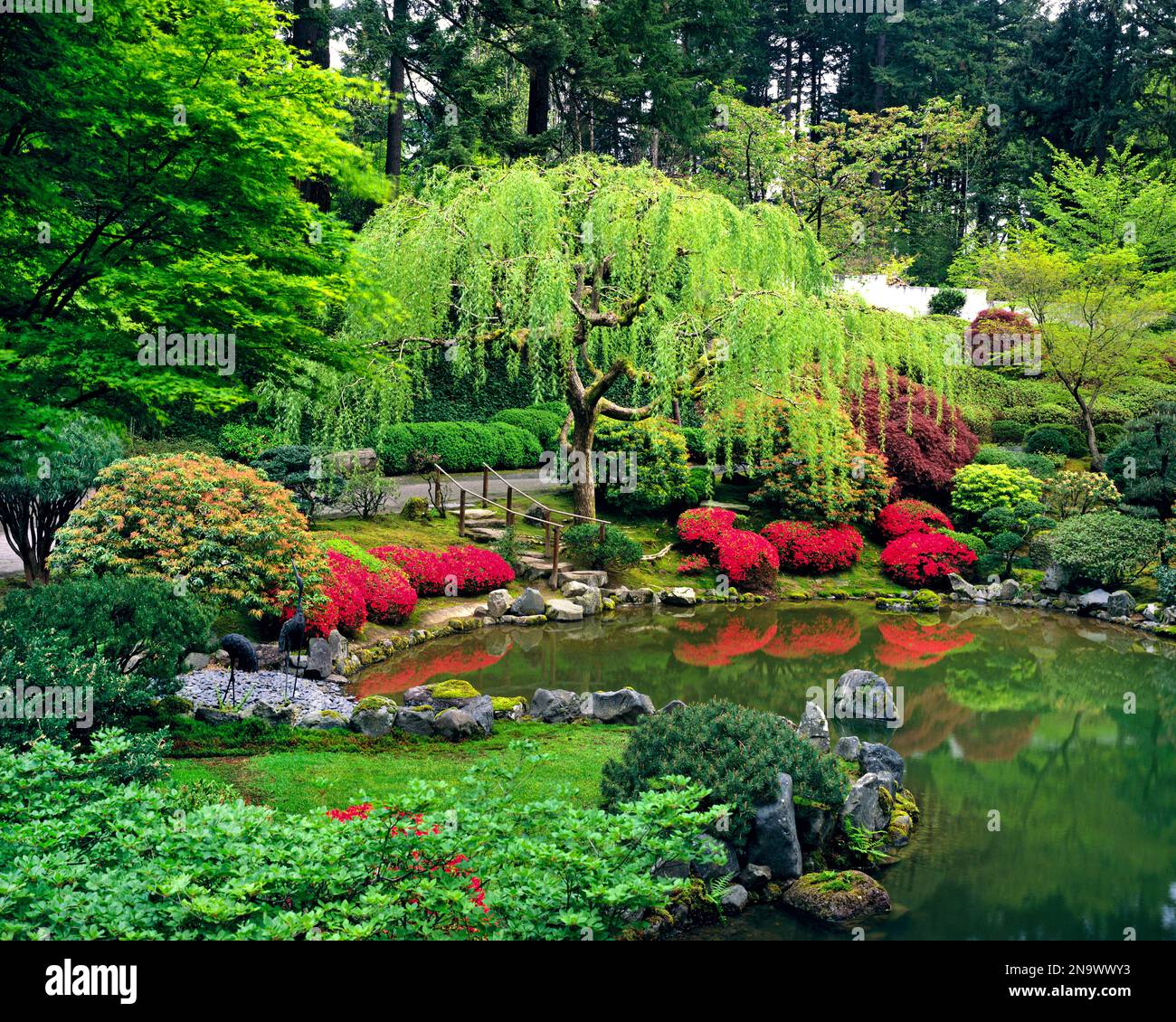 Lush japanese forest landscape hi-res stock photography and images - Alamy