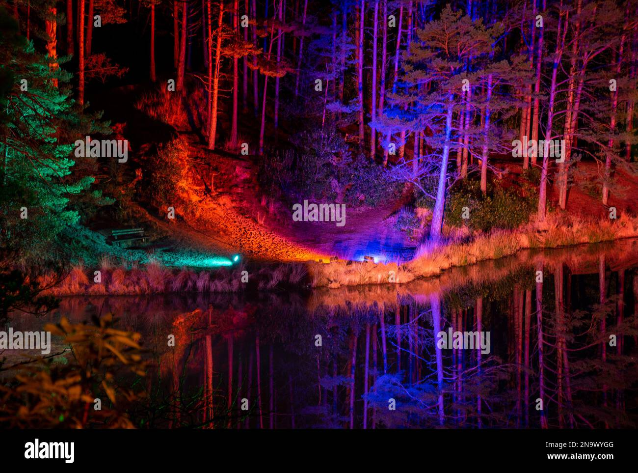 Illuminations around the lake at Blue Pool in Dorset Stock Photo - Alamy