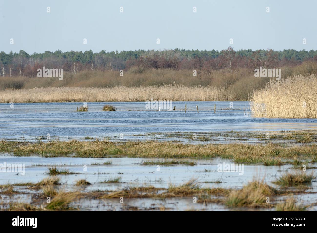 Steinhuder meer 2023 hi-res stock photography and images - Alamy