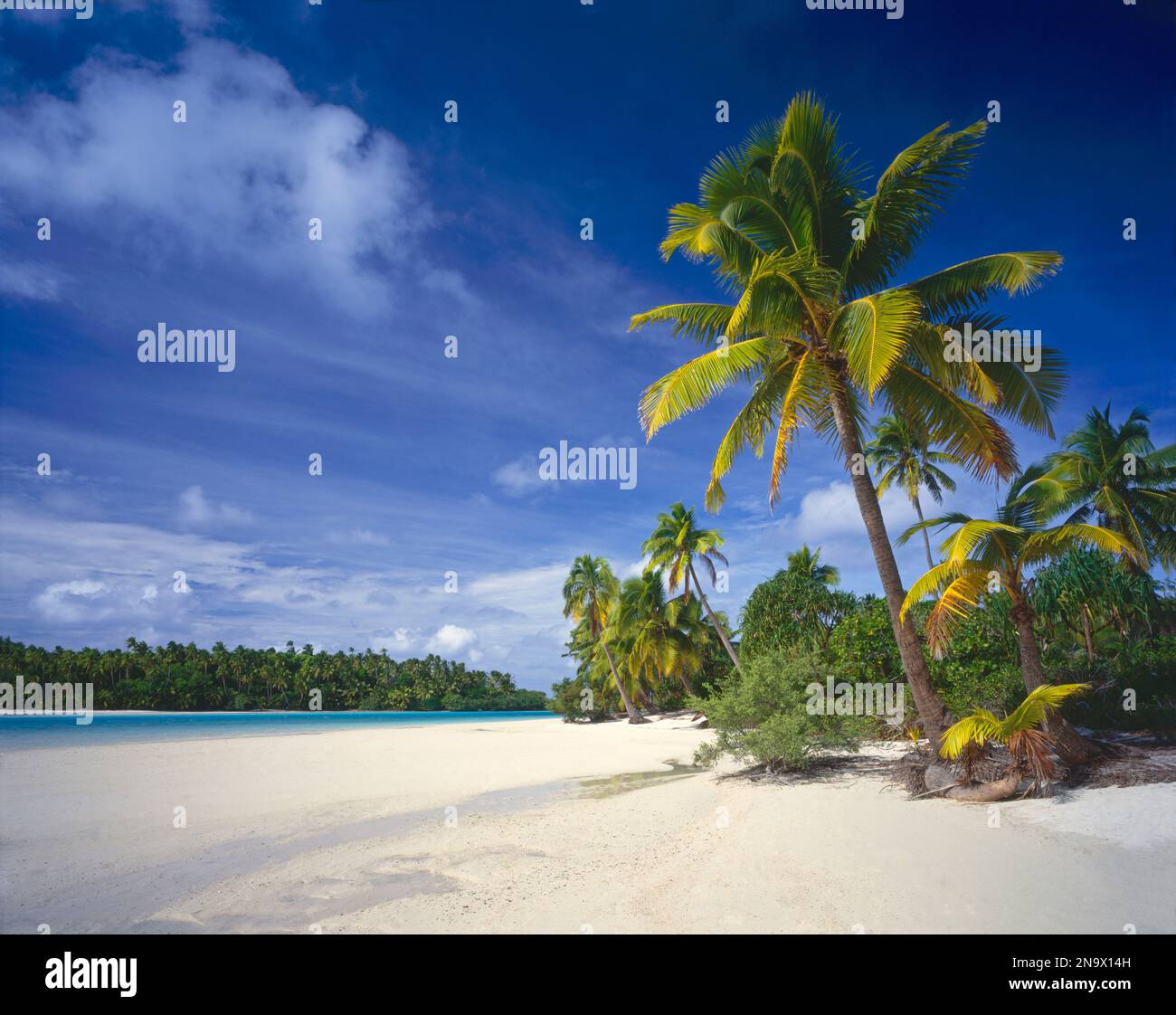 Palm trees line the shore of islands with clear turquoise water and ...