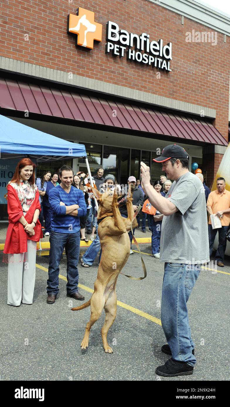 COMMERCIAL IMAGE - In this photograph taken by AP Images for Banfield ...