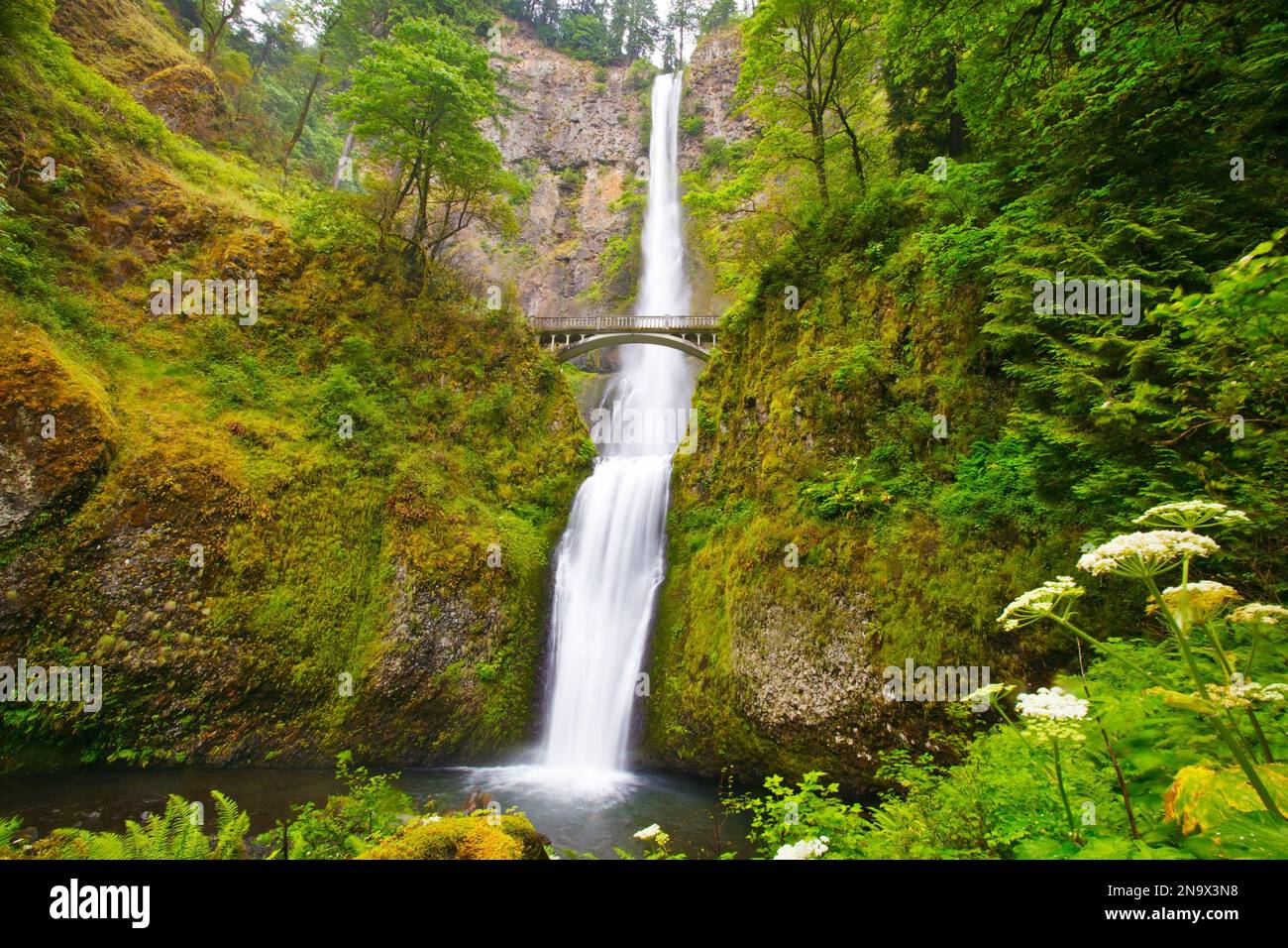 Multnomah Falls in Columbia River Gorge National Scenic Area; Oregon ...