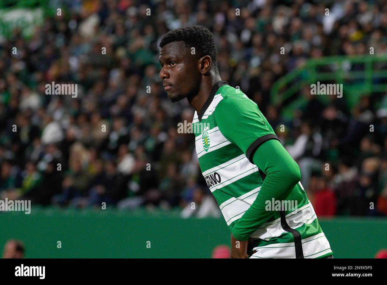 Lisbon, Portugal. 12th Feb, 2023. Ousmane Diomande from Sporting CP ...