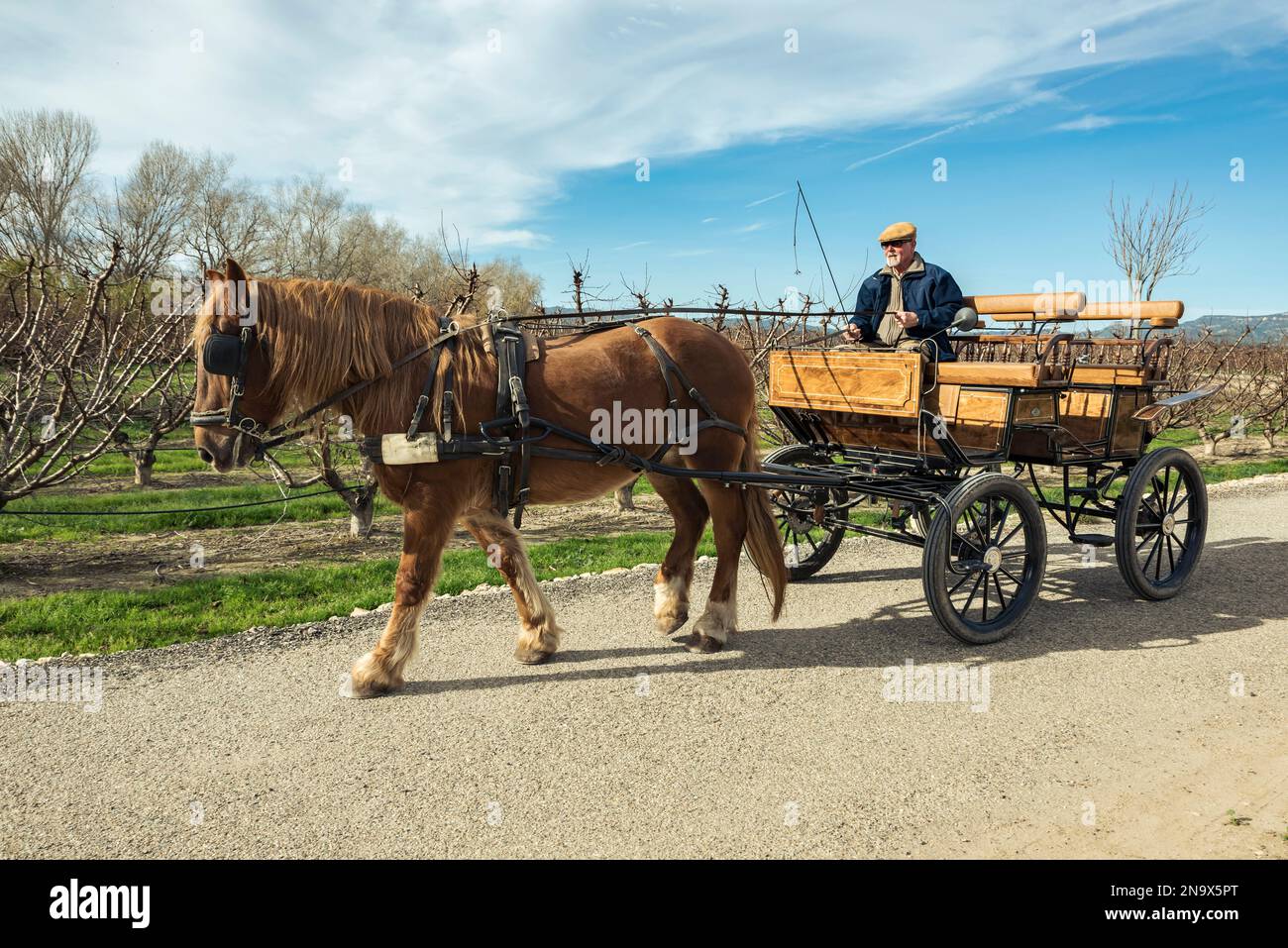 Horse-drawn carriage, Benissanet, Tarragona, Spain © Dosfotos/Axiom ...