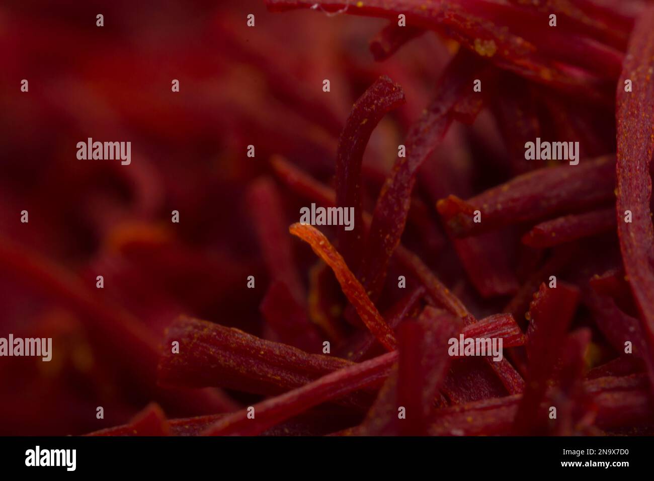 Close up on saffron texture Stock Photo - Alamy