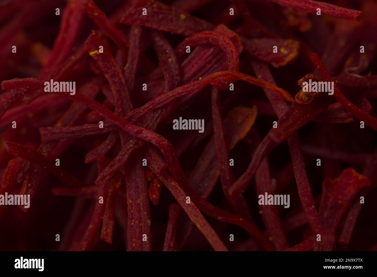 Close up on saffron texture Stock Photo - Alamy