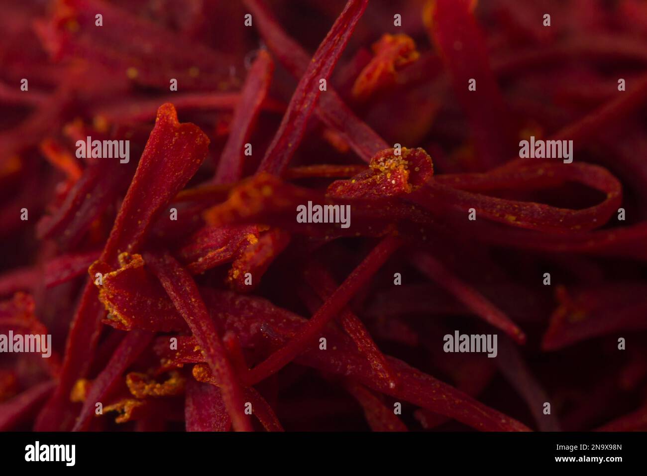 Close up on saffron texture Stock Photo - Alamy