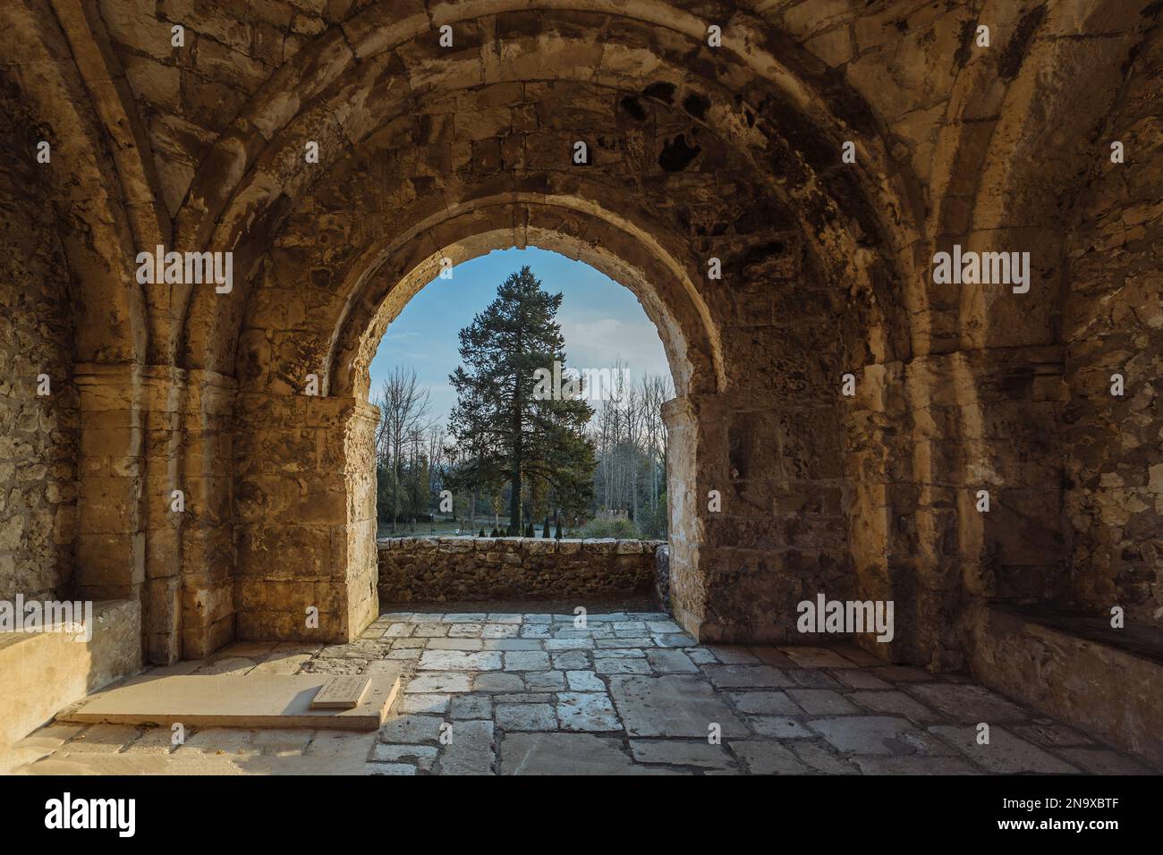 Pine tree from arched corridor at Khobi Convent, Georgia Stock Photo ...
