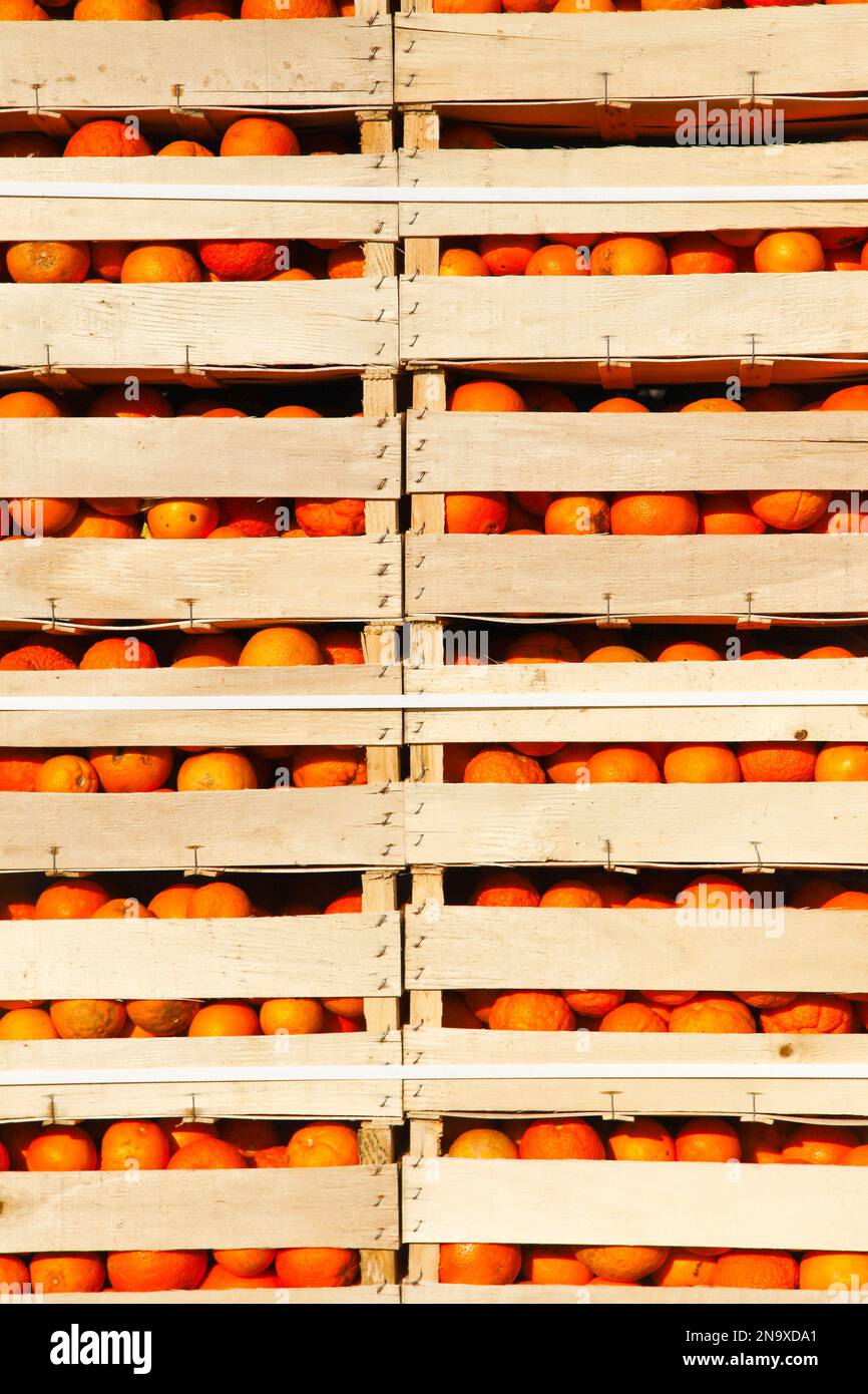Boxes of oranges ,used for the battle of oranges of Ivrea Stock Photo ...