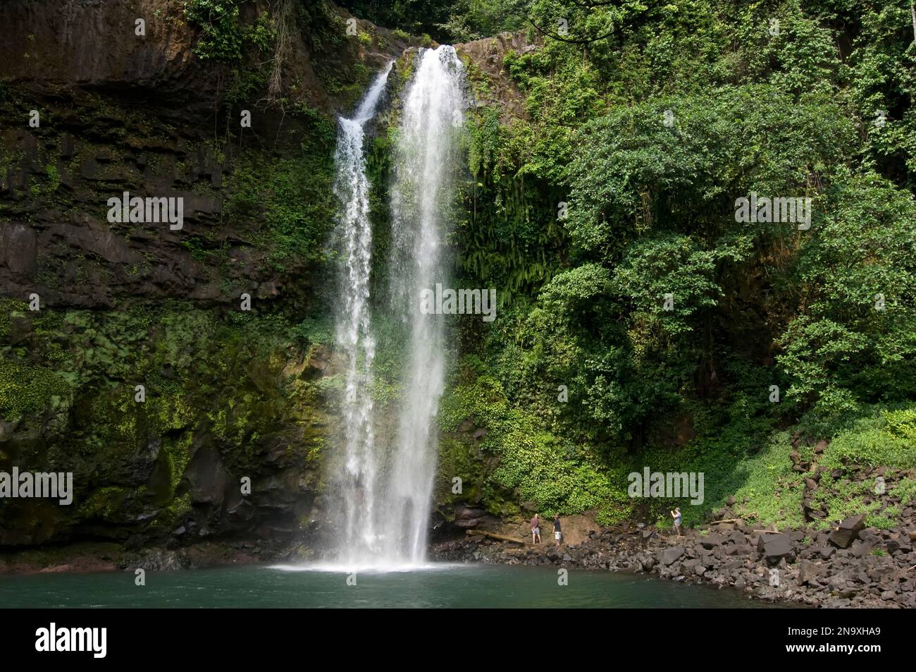 Equatorial forest africa hi-res stock photography and images - Alamy