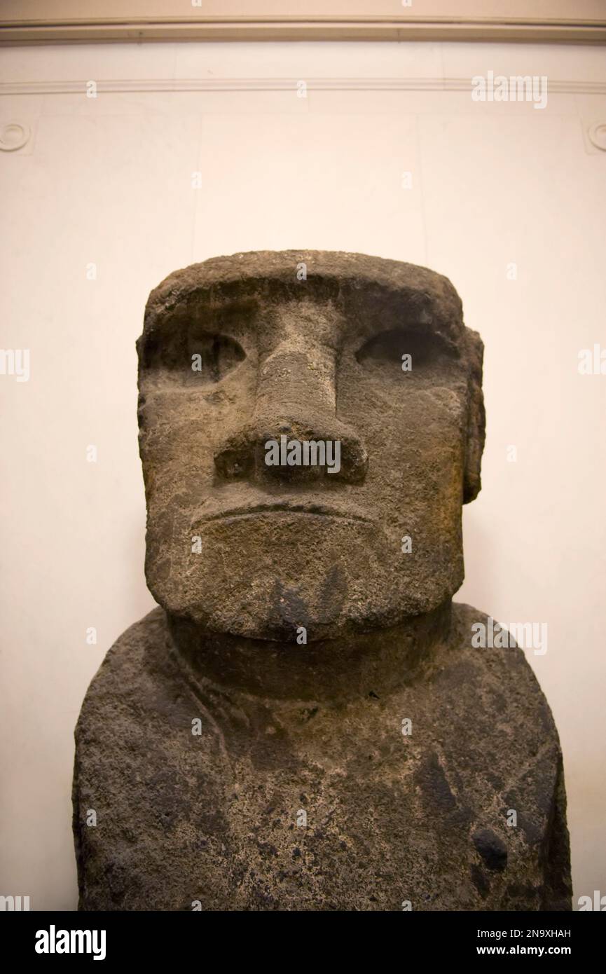 Displays smithsonian natural history hi-res stock photography and ...