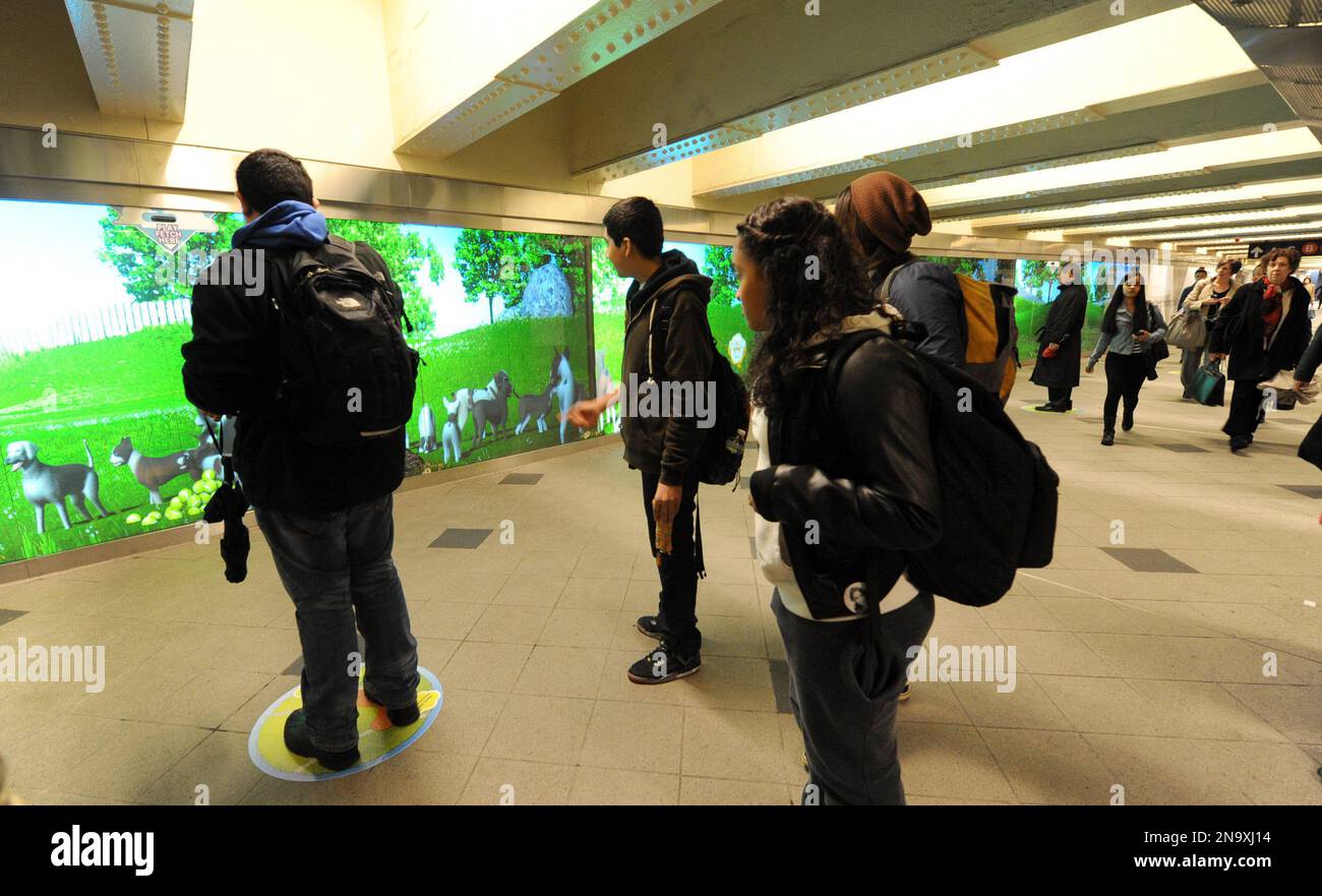 COMMERCIAL IMAGE - In this photograph taken by AP Images for Beneful, a ...