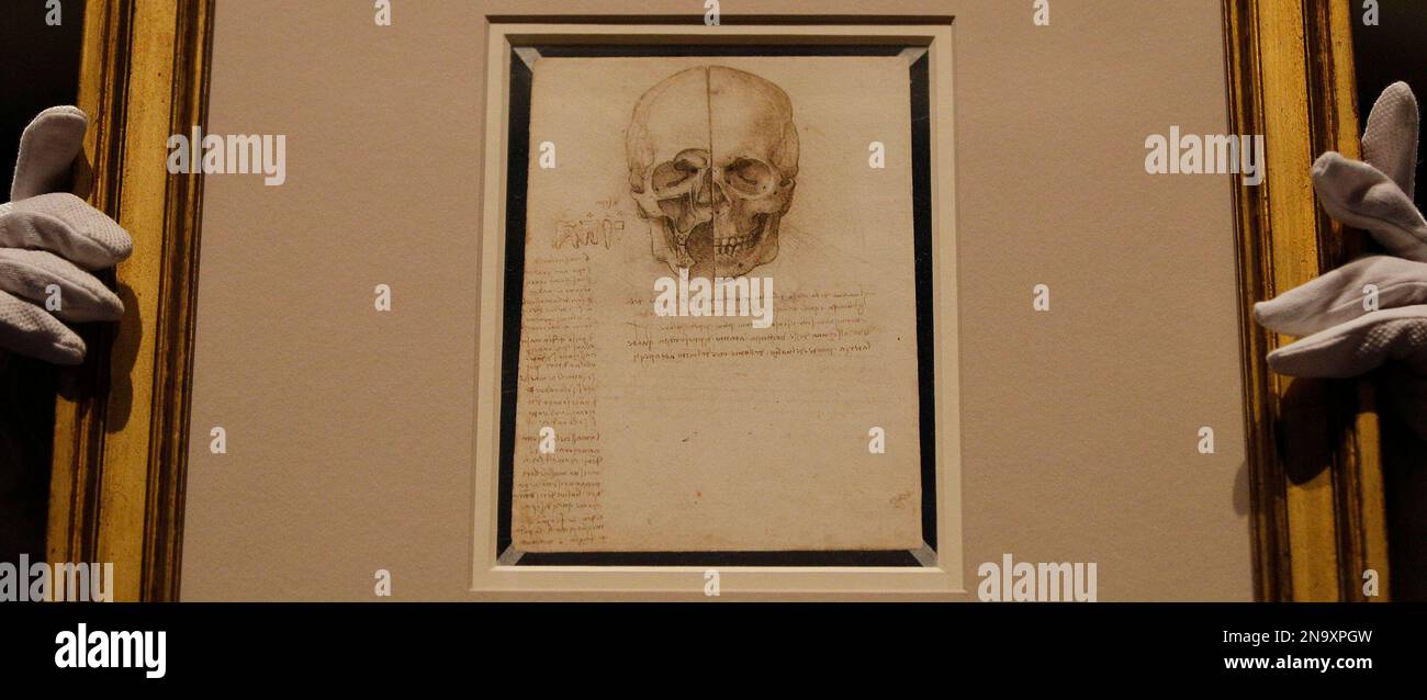 An employee of the Queen's Gallery holds an ink drawing by Leonardo da ...