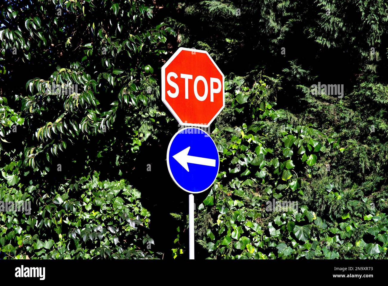 transit sign to stop and a arrow Stock Photo - Alamy