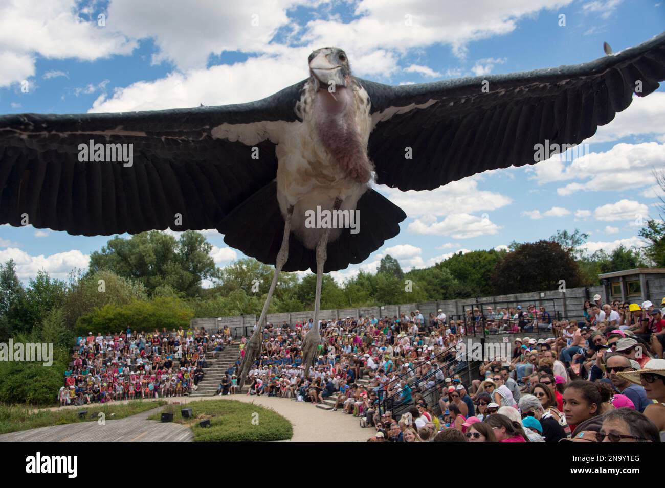 A bird flies over a crowd at Le Parc des Oiseaux, a bird park in the ...