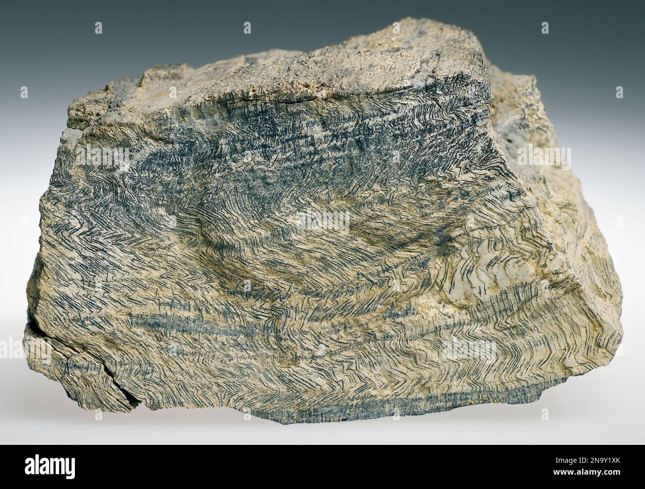 Orthogneiss, Bisti Badlands, New Mexico Stock Photo - Alamy