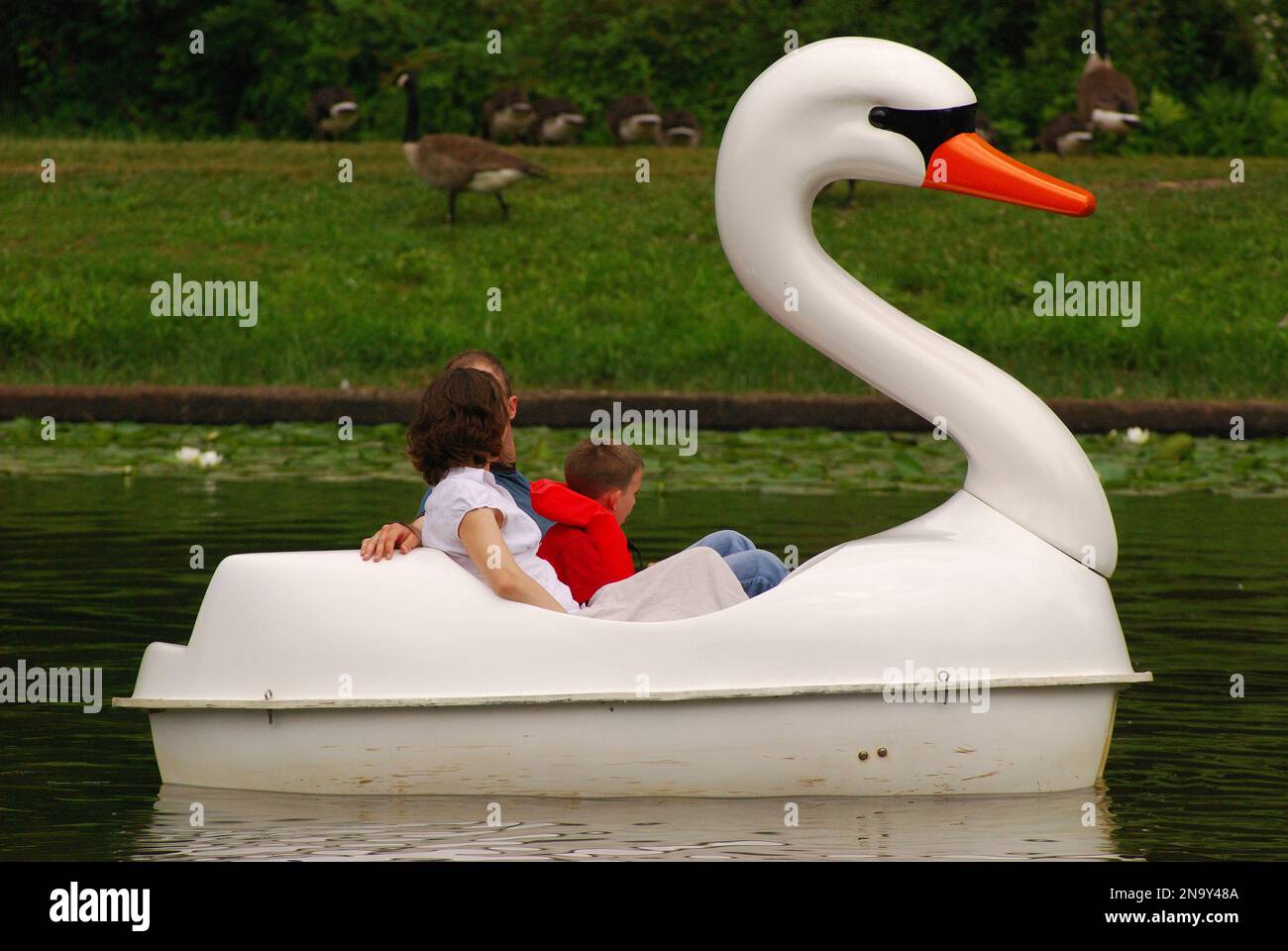 A family enjoying an outing in a swan boat in a park pond.; Providence ...