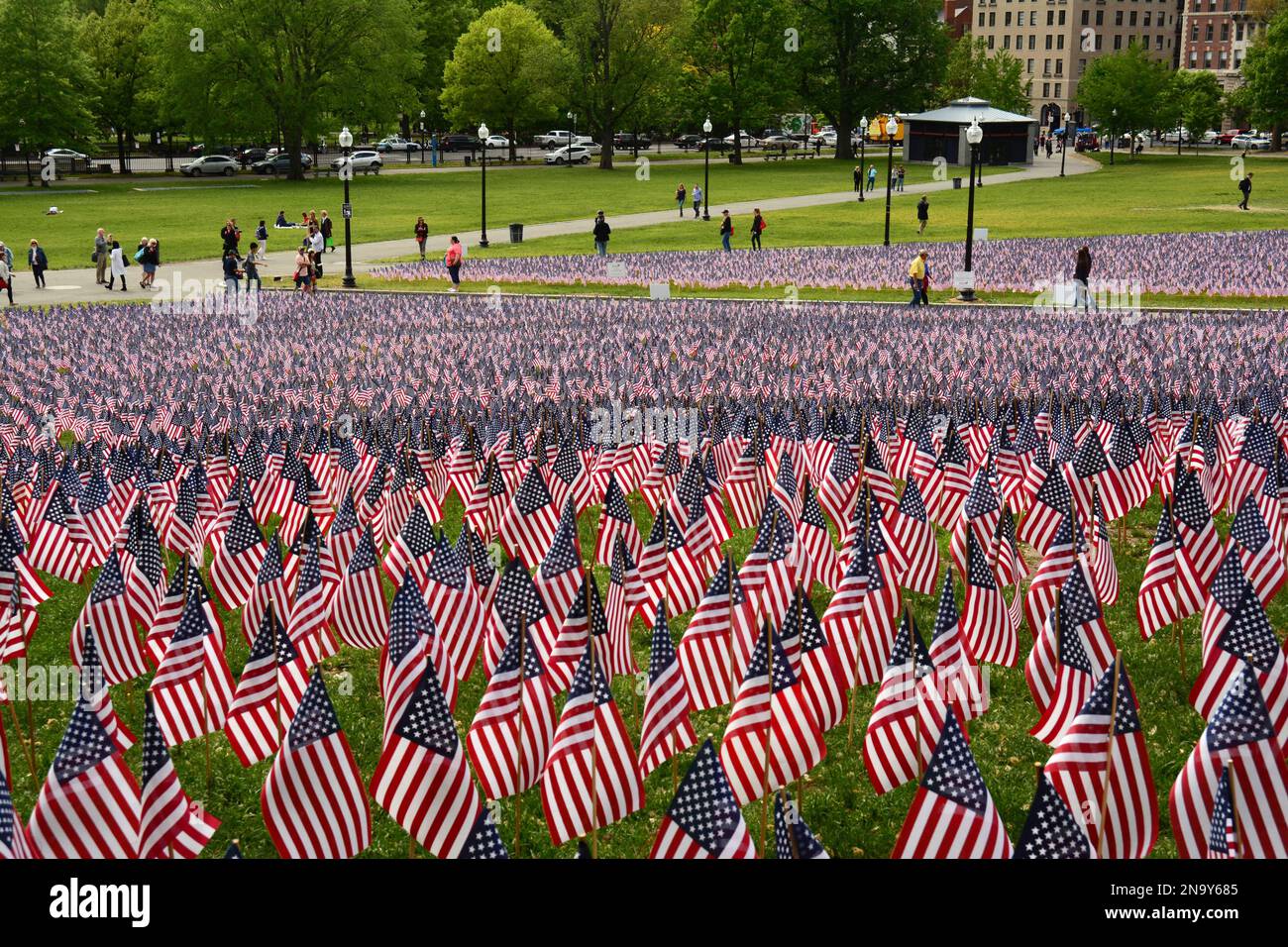 A Memorial Day display of United States of America national flags in ...
