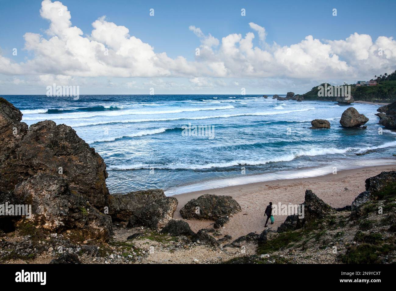 Rugged rock and boulders on the beach along the coast of Barbados at ...