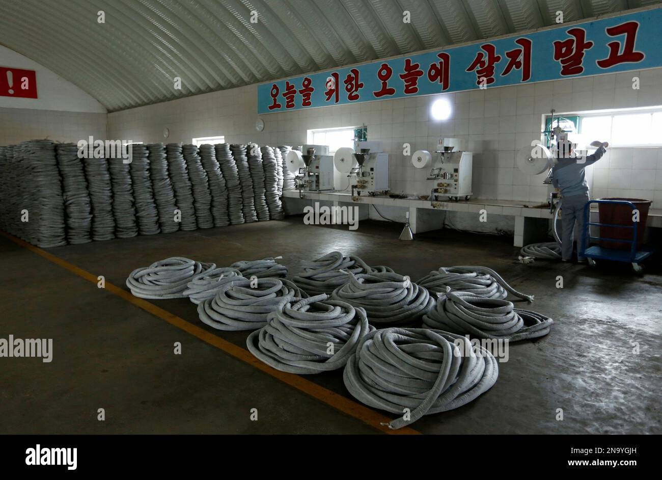 A North Korean worker operates a machine to fill compost into rolls for ...
