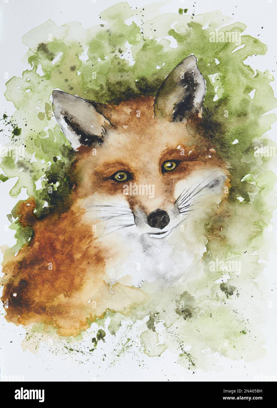 Draw fox hi-res stock photography and images - Alamy