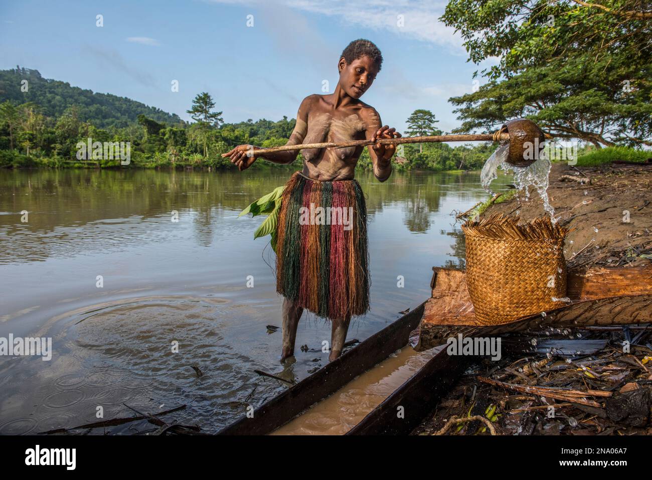Woman dipping water from the Karawari River, located in the Sepik area ...