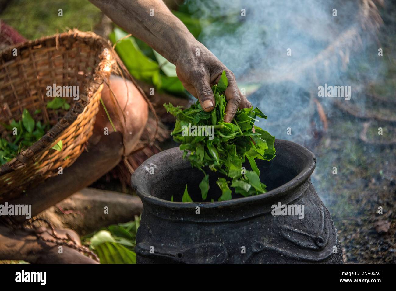 Cooking greens in Karawari, located in the Sepik area of Papua New ...