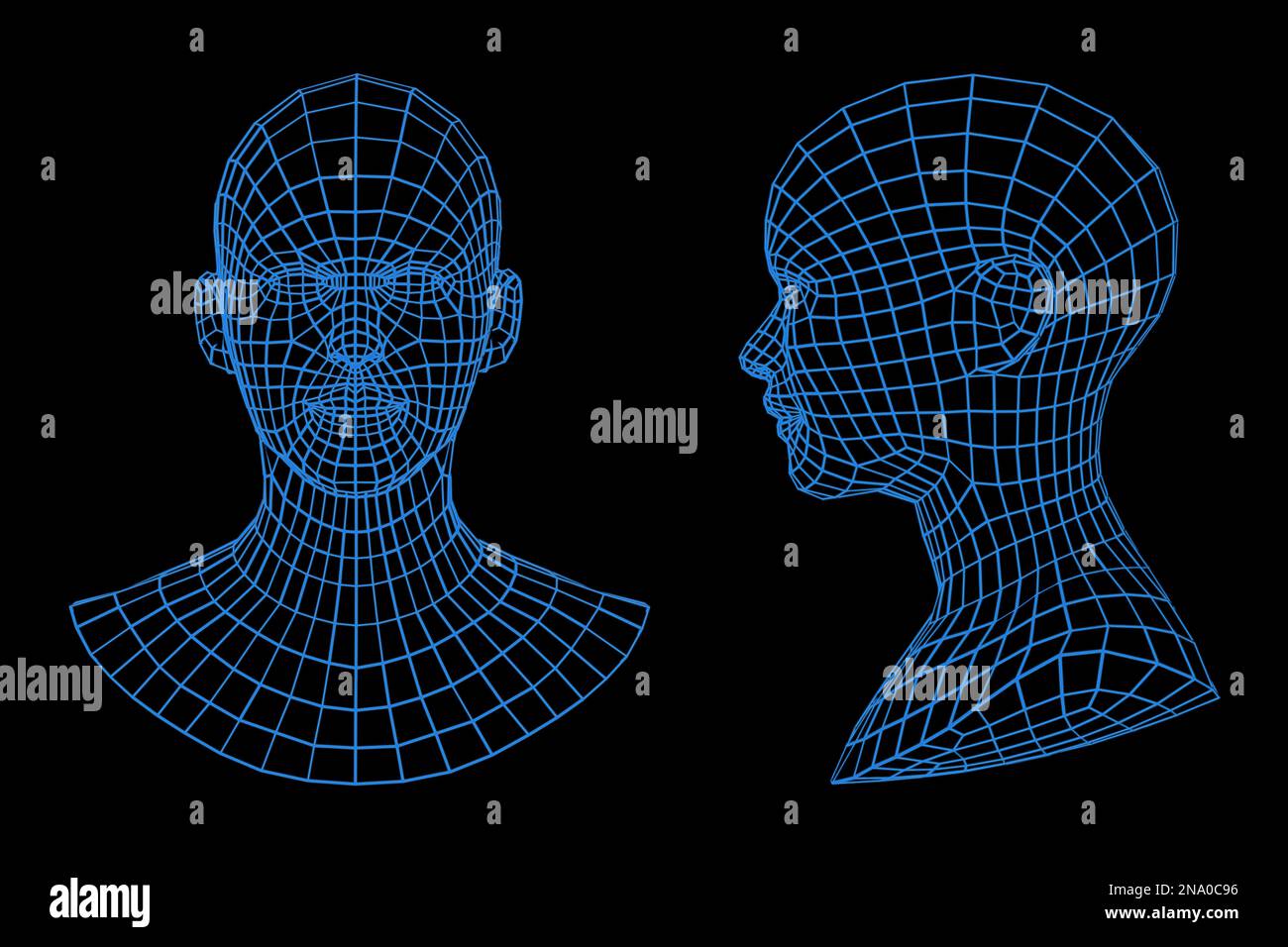 Three dimensional mesh image of a woman face front and side view Stock ...