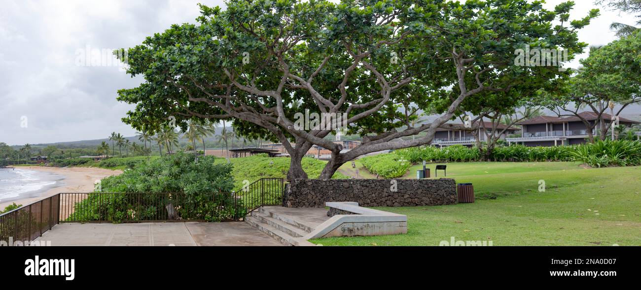 Waterfront area and beach at Maluaka Beach Park on the island of Maui ...