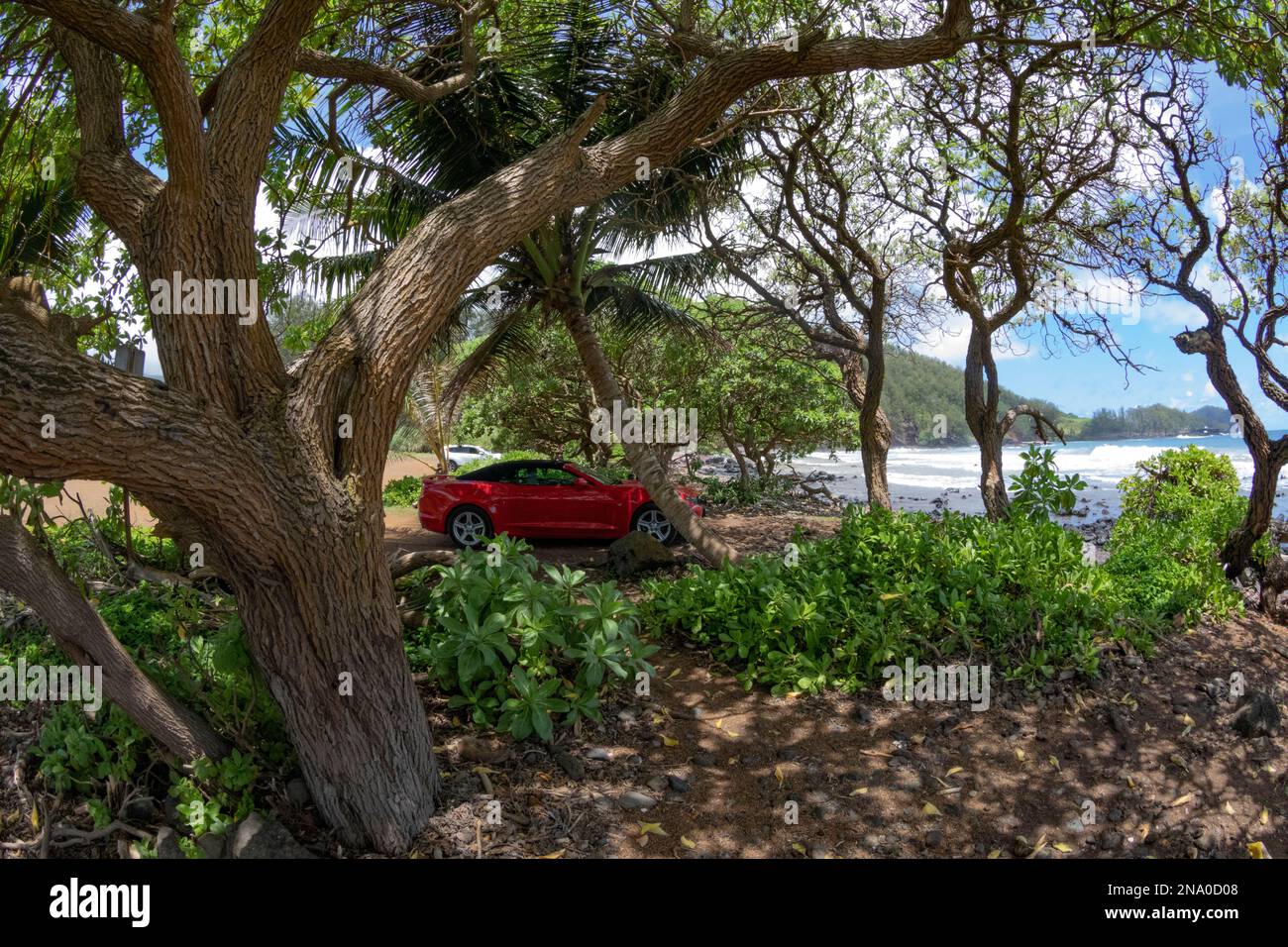 Car parked under tree hi-res stock photography and images - Alamy