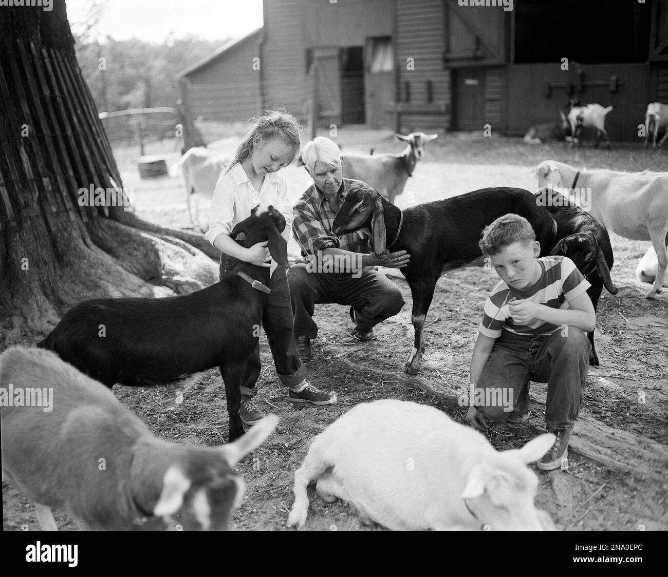 Poet Carl Sandburg and his grandchildren Karlen Paula Thoman, left, and ...
