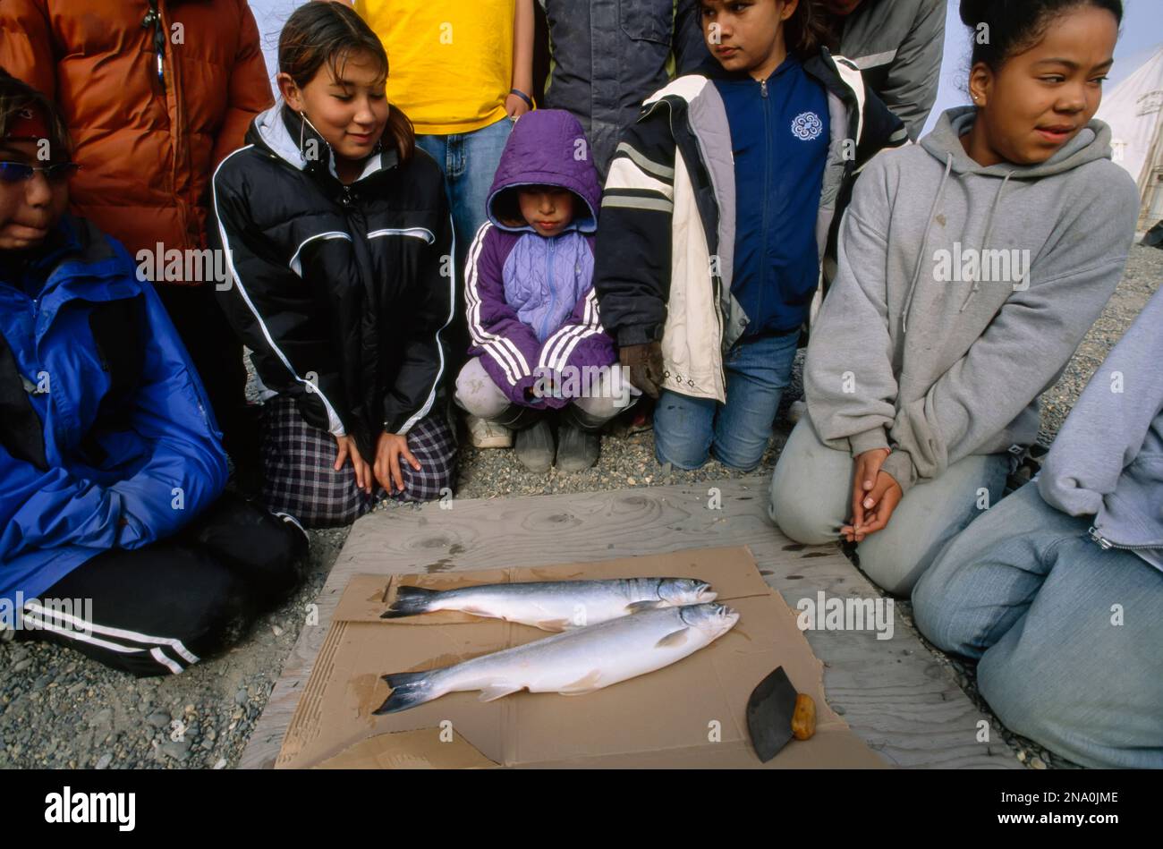 Inuit fish hi-res stock photography and images - Alamy