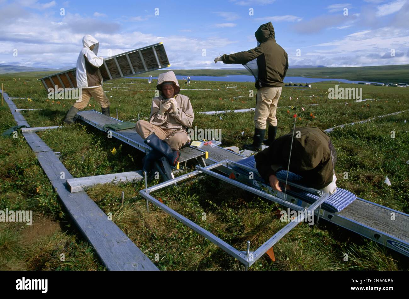 Alaska projects hi-res stock photography and images - Alamy