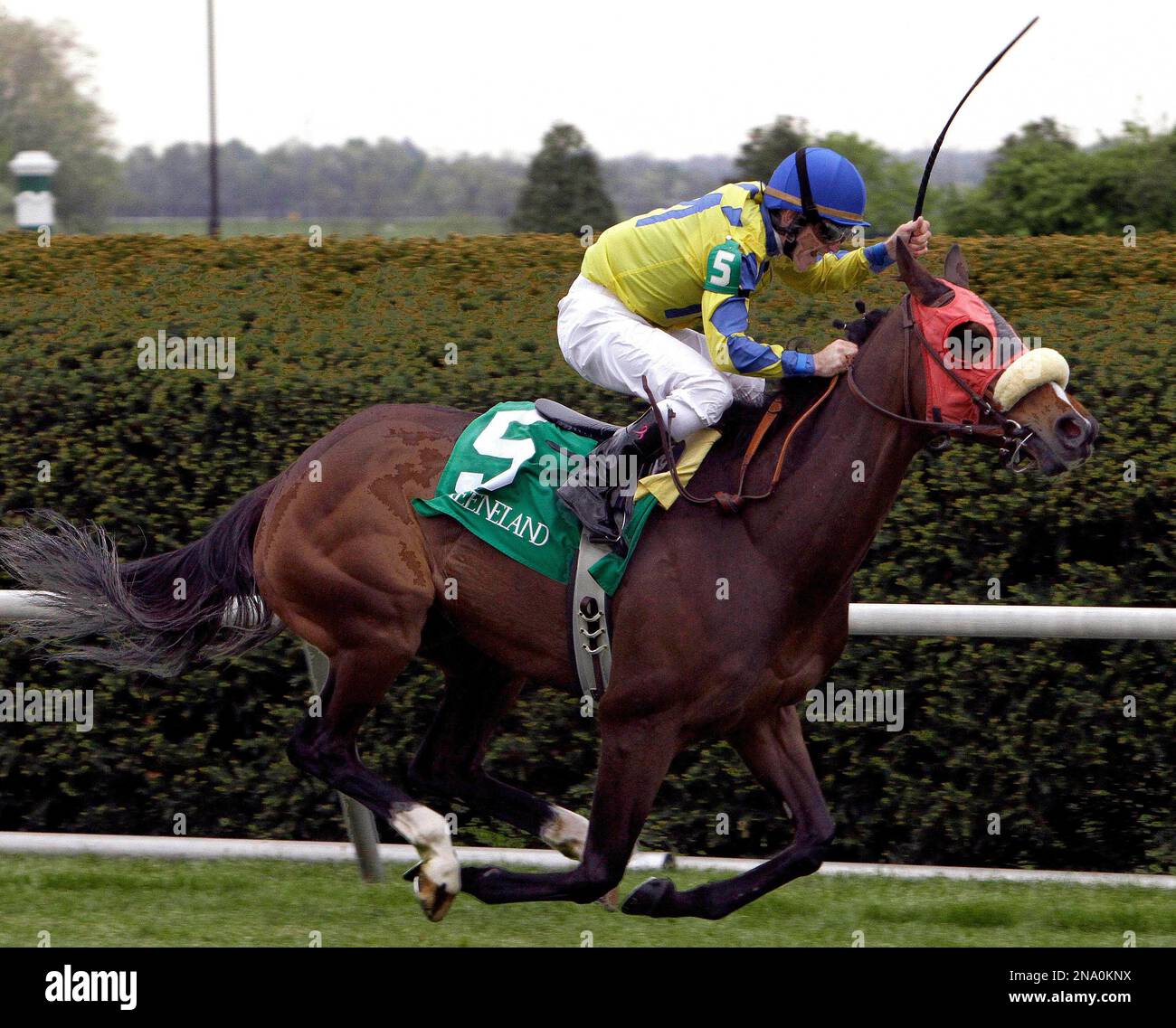 Jockey James Graham celebrates after riding Daisy Devine to victory in ...