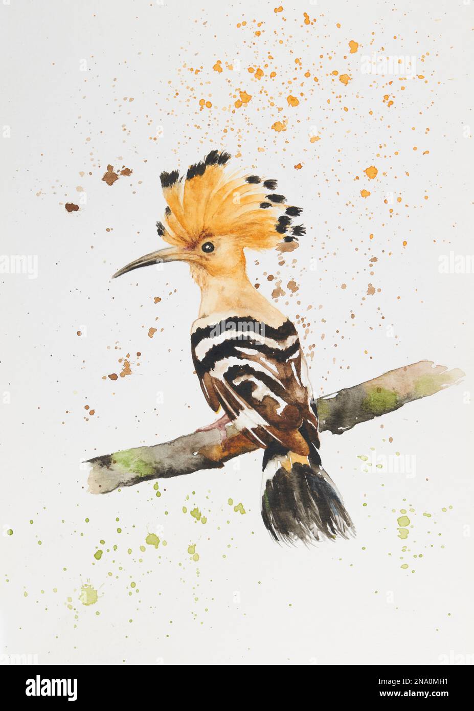 Disegno selvaggio hi-res stock photography and images - Alamy