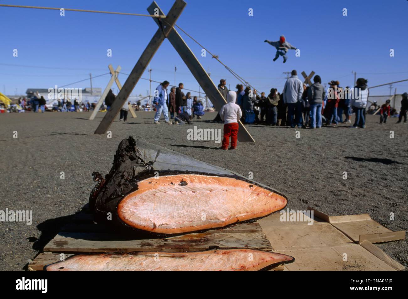 An Inuit gathering, showing jumping game, background, and blubber Stock ...
